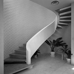 Cornell University - Intypes: Showcase Stair